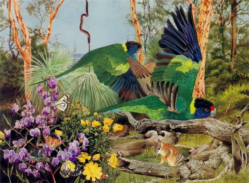 Jigsaw puzzle «Parrots» - solve jigsaw puzzles online | PuzzleIt