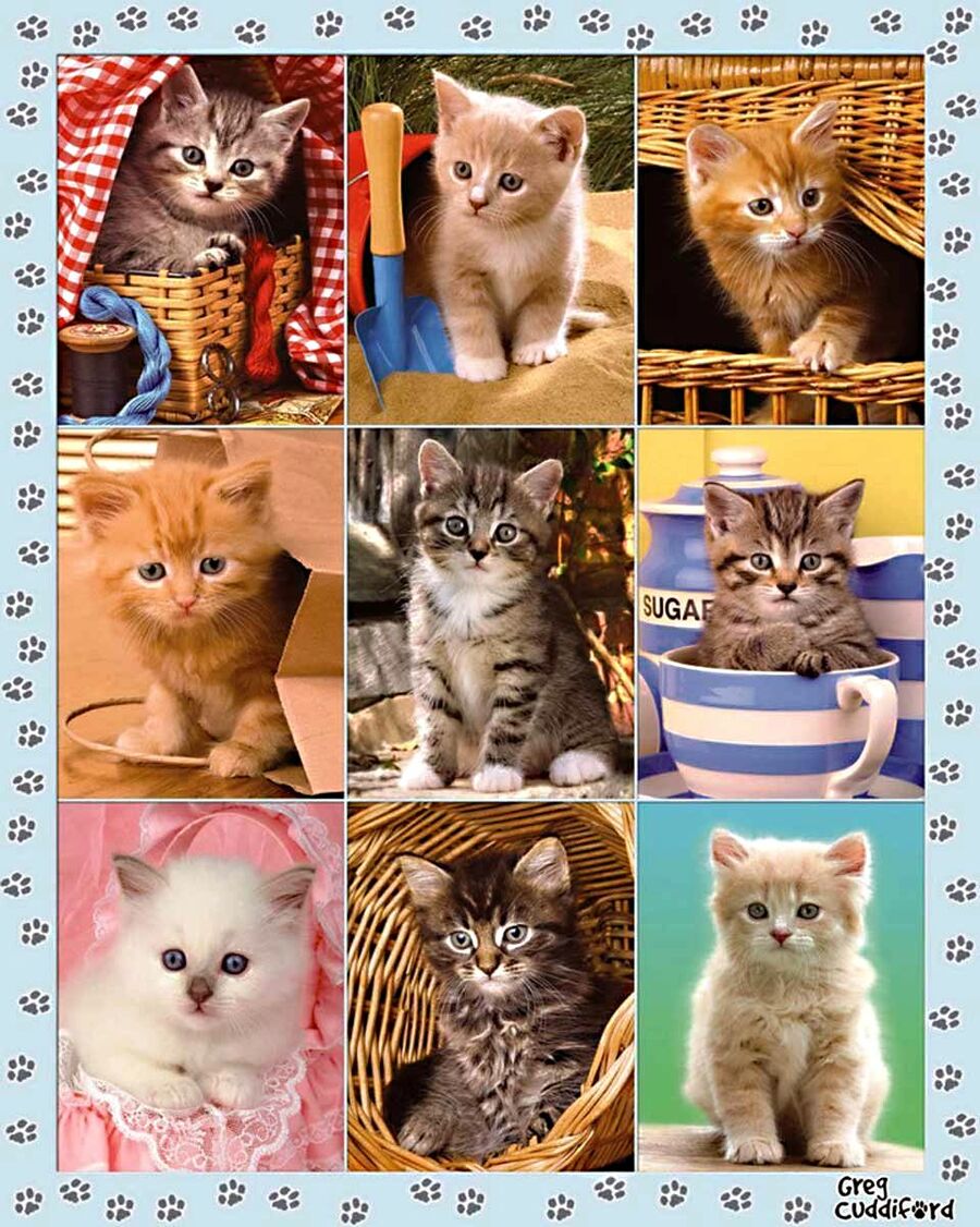 Jigsaw puzzle «Kittens» - solve jigsaw puzzles online | PuzzleIt