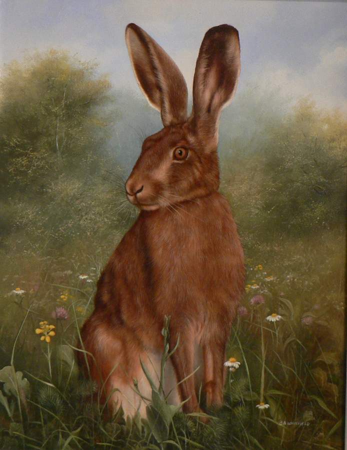 Jigsaw puzzle «Hare» - solve jigsaw puzzles online | PuzzleIt