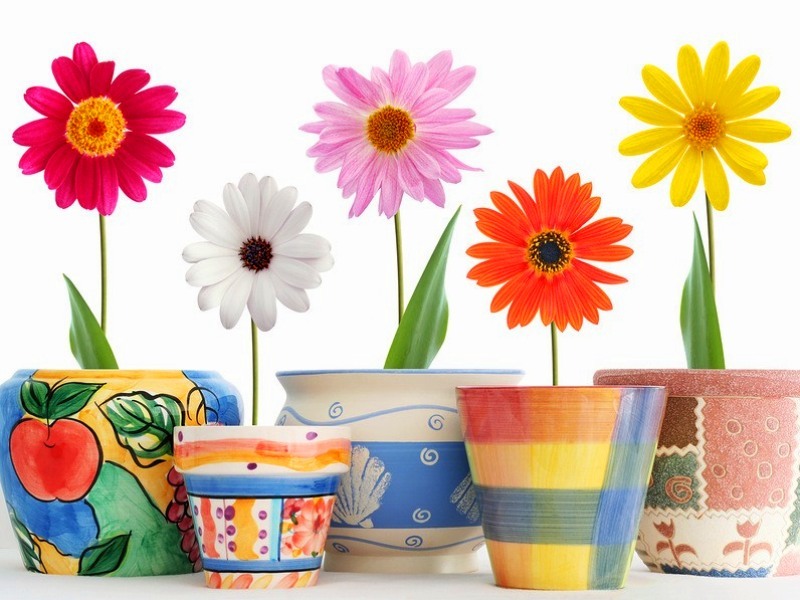 Jigsaw puzzle «Flowers in pots» - solve jigsaw puzzles online | PuzzleIt