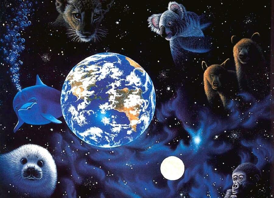 Jigsaw puzzle «Universe» - solve jigsaw puzzles online | PuzzleIt